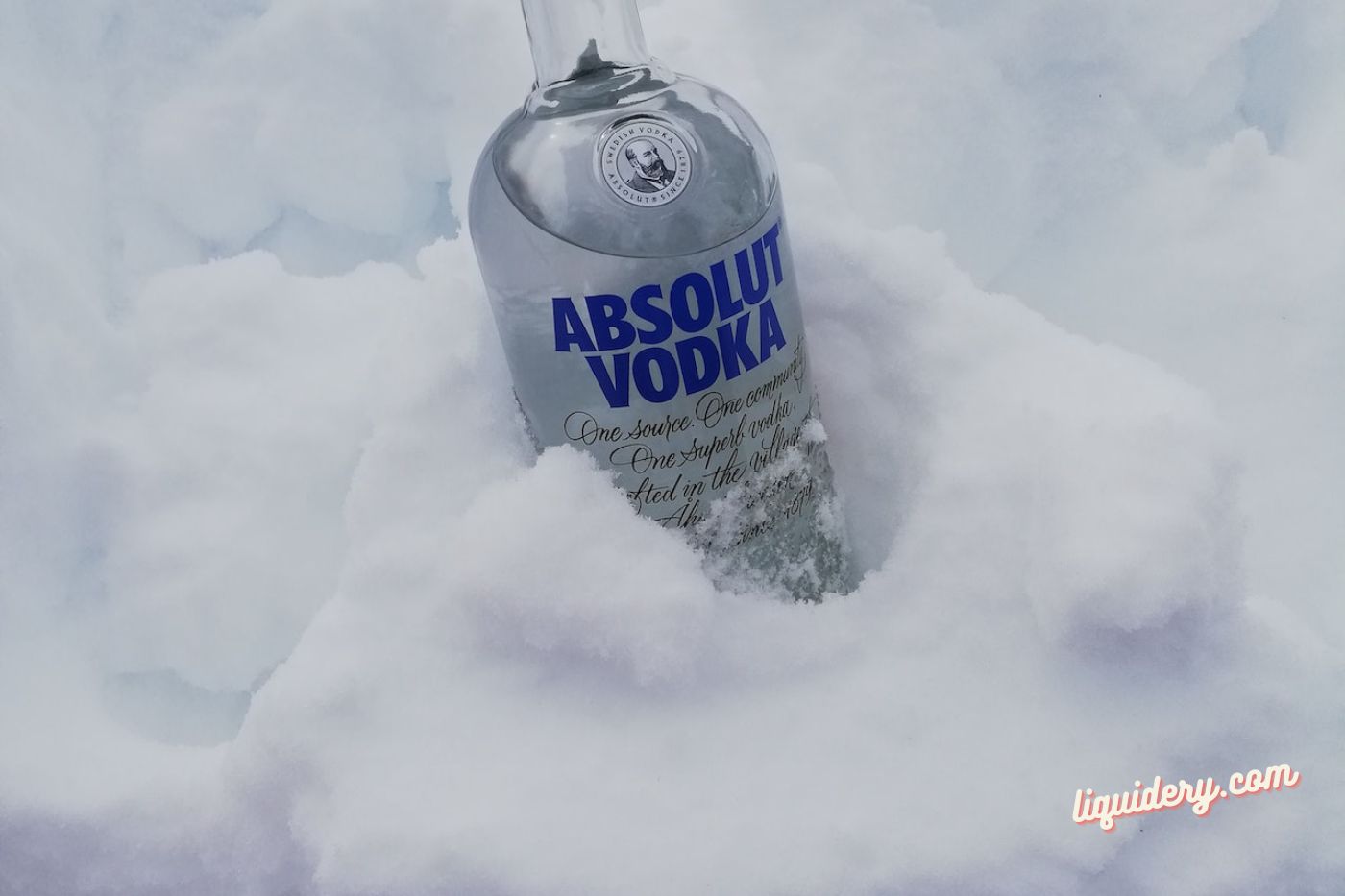 9 of The Best Swedish Vodka Brands You Should Try [year] – Liquidery